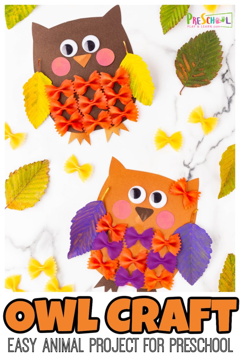 🐼 FREE Printable Zoo Animals Color by Number Worksheets