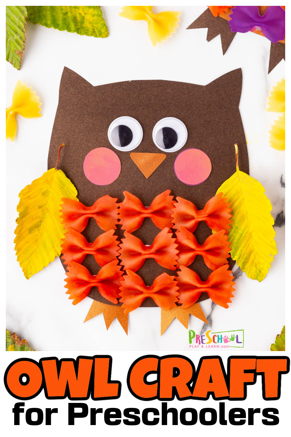Preschool Pasta Owl Craft