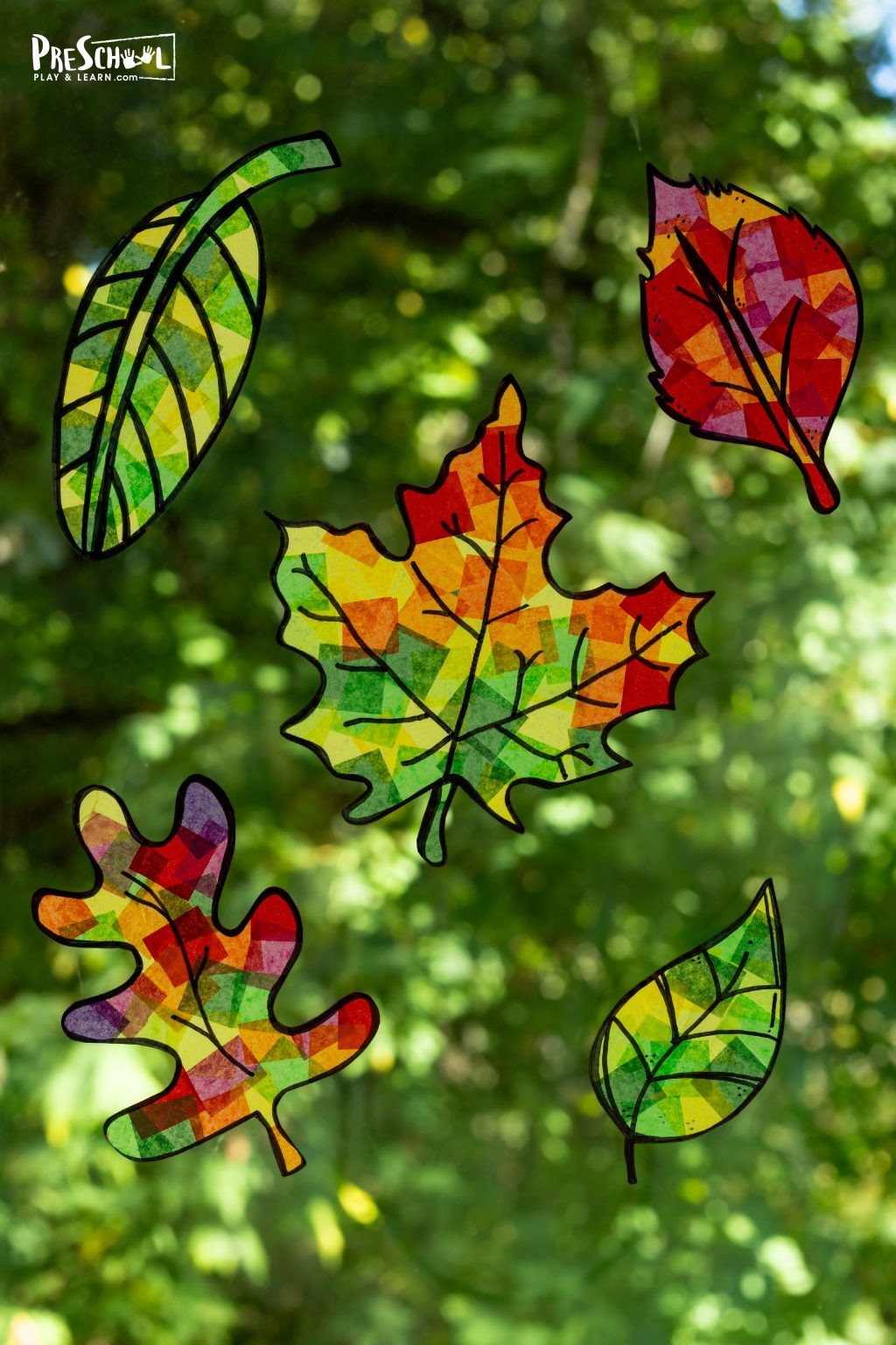 EASY Fall Leaf Suncatcher Craft for Preschool - Free Printable Template!