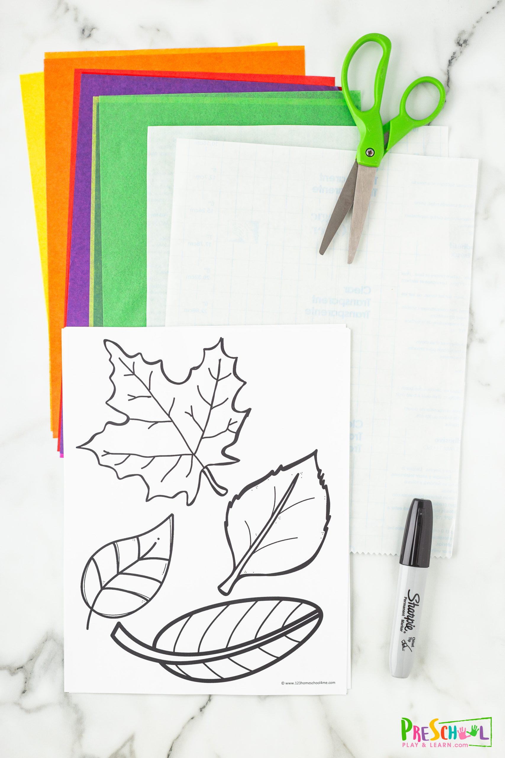 EASY Fall Leaf Suncatcher Craft for Preschool - Free Printable Template!