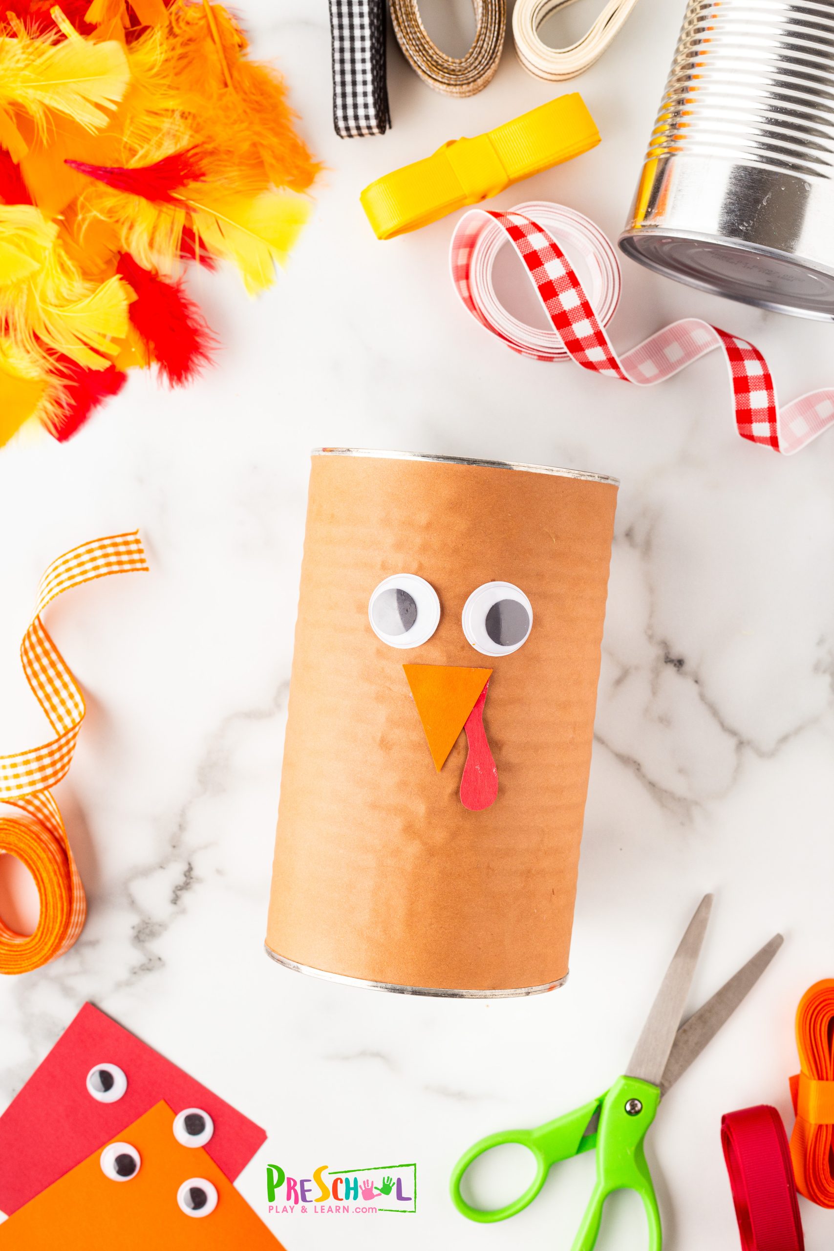 Thanksgiving Turkey Windsock Craft for Preschool