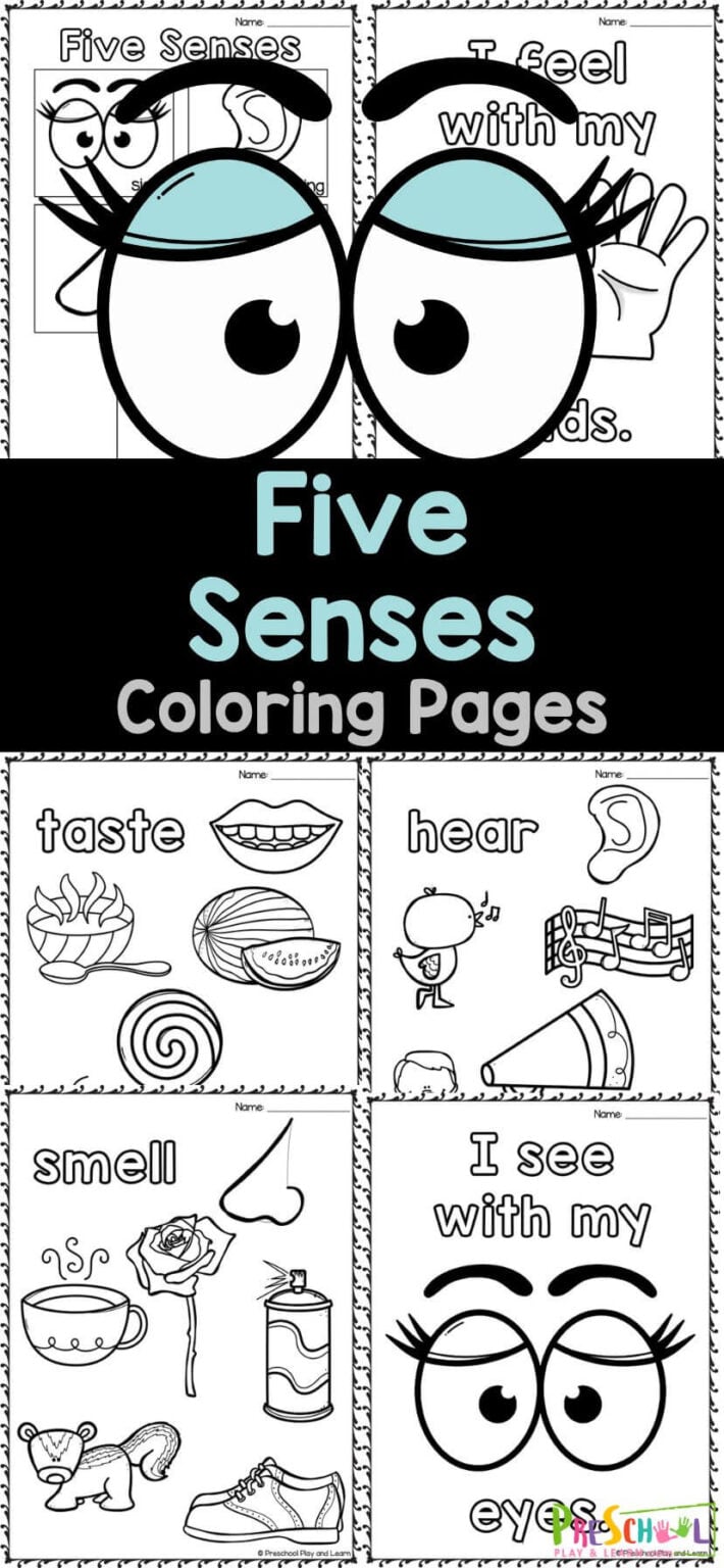 From Sight to Taste: Playful Five Senses Coloring Printables