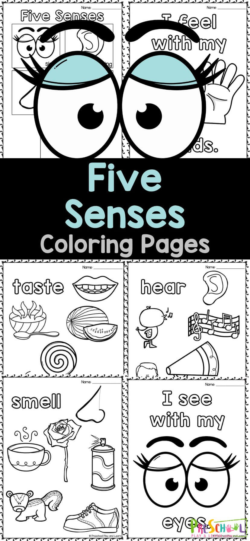 From Sight to Taste: Playful Five Senses Coloring Printables