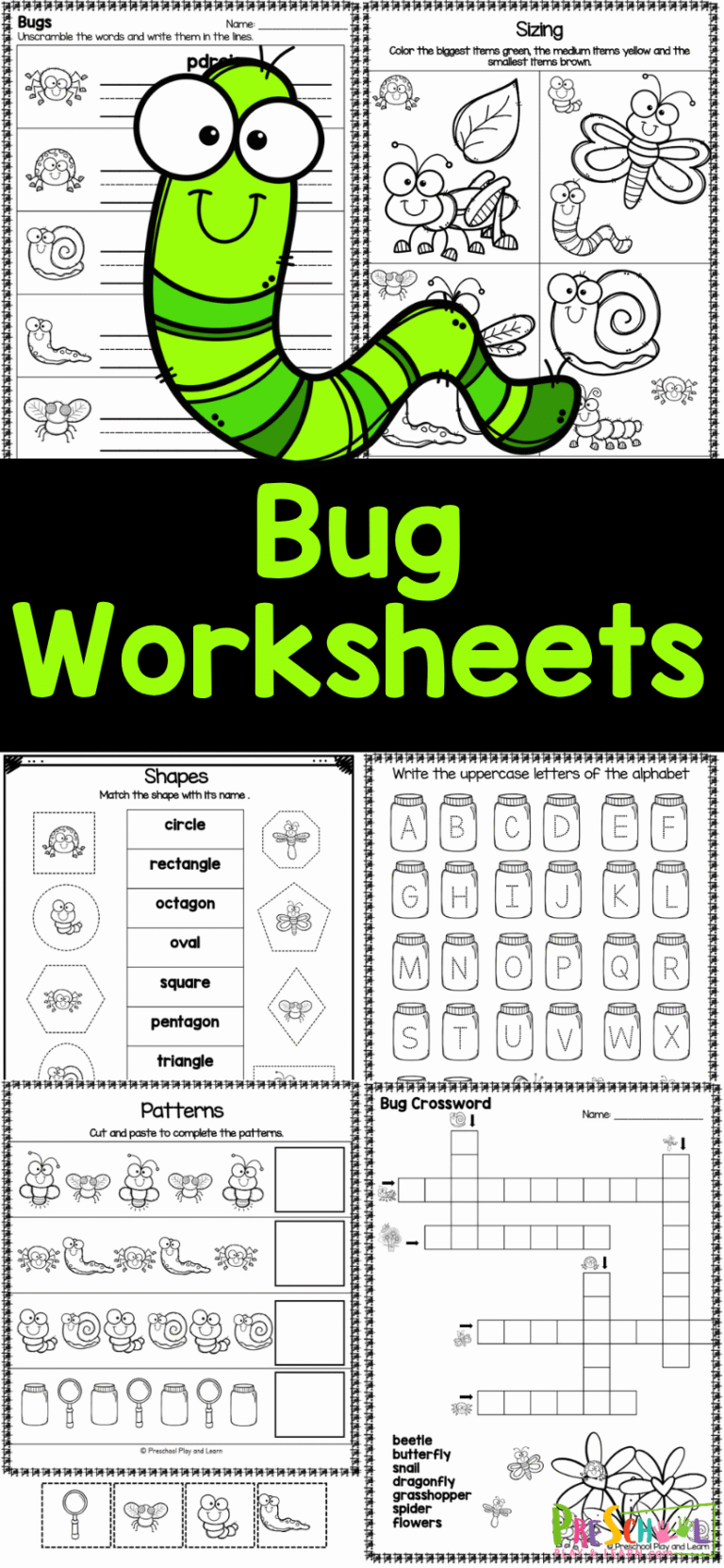 🐛 Bug Color Sorting Activities: Springtime Fun For Preschoolers